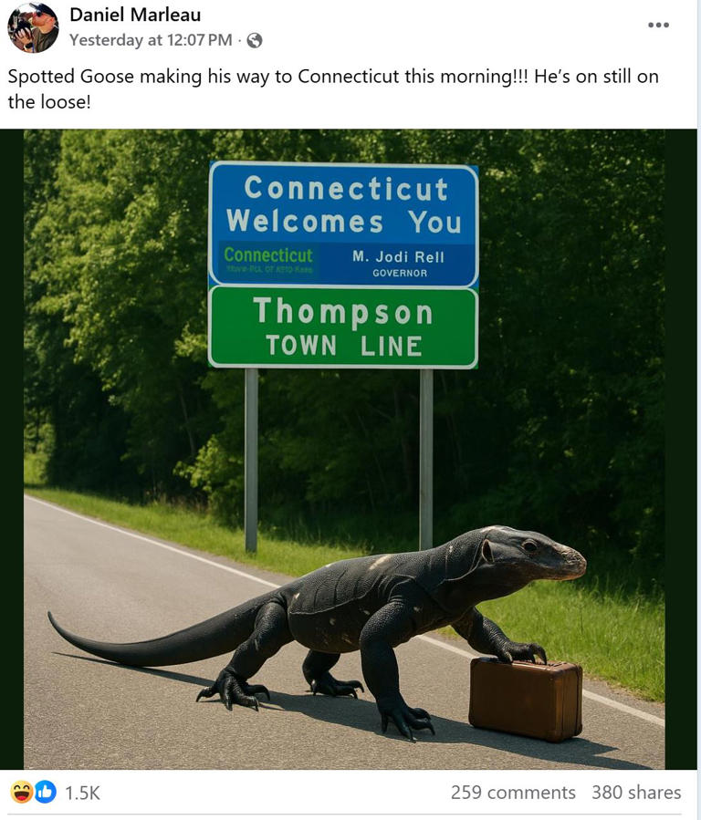 Lizard still at large: Webster water monitor crosses state lines into Conn.