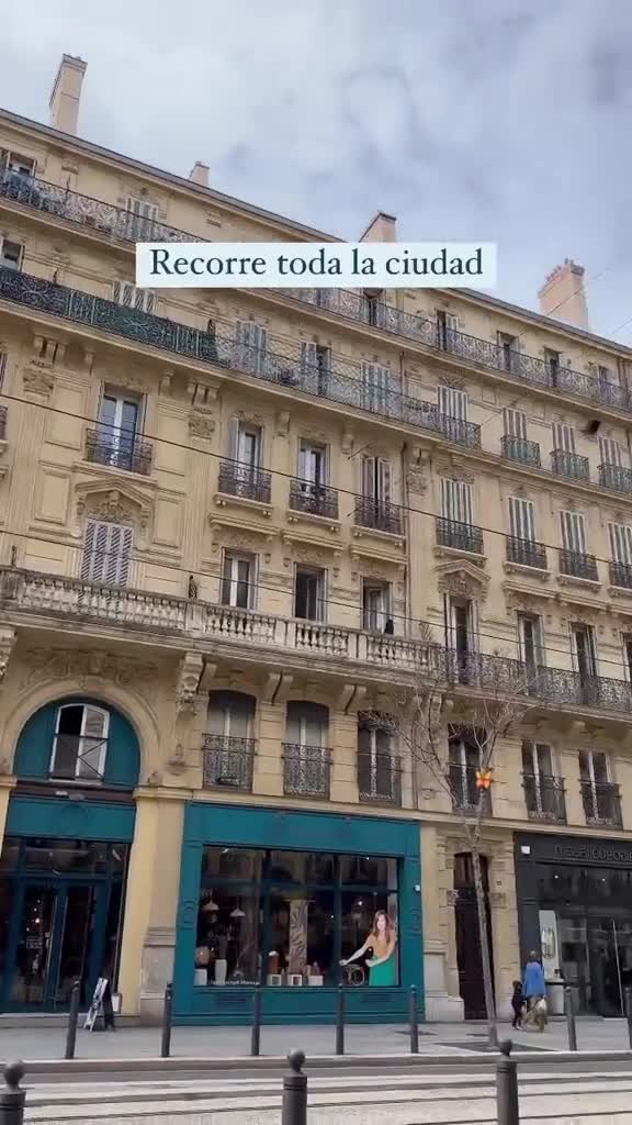 Exploring Marseille on a Dog-Friendly Tour Bus