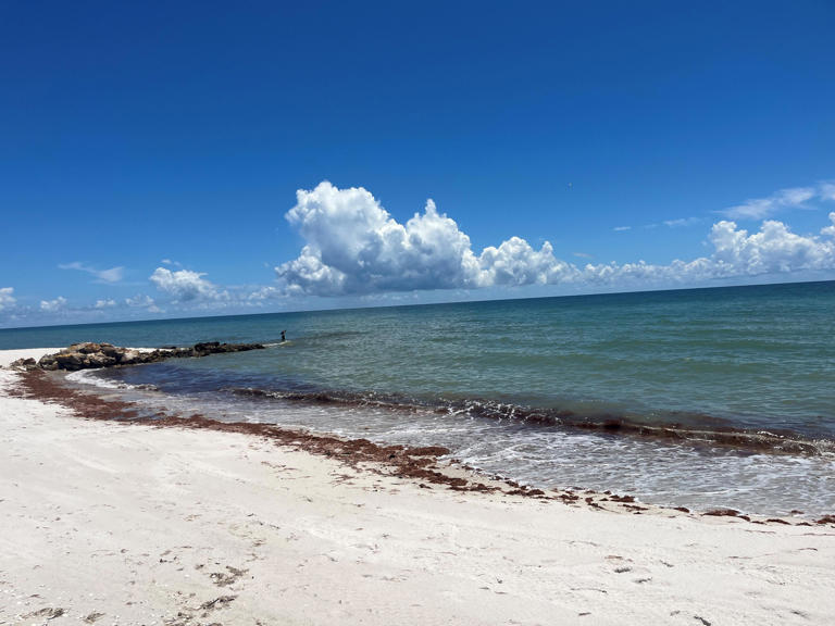 Body of 85-year-old man pulled from water off Naples beach