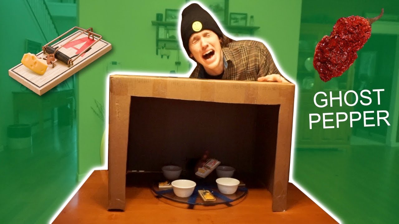 Our team reaches into mystery boxes for the most extreme blind touch ...