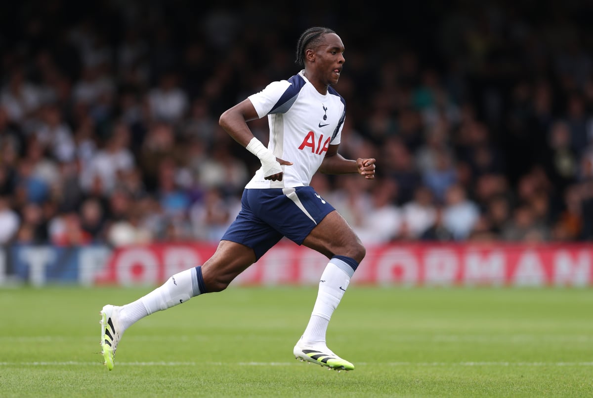 Luton vs Tottenham LIVE: Pre-season friendly result, latest updates and ...