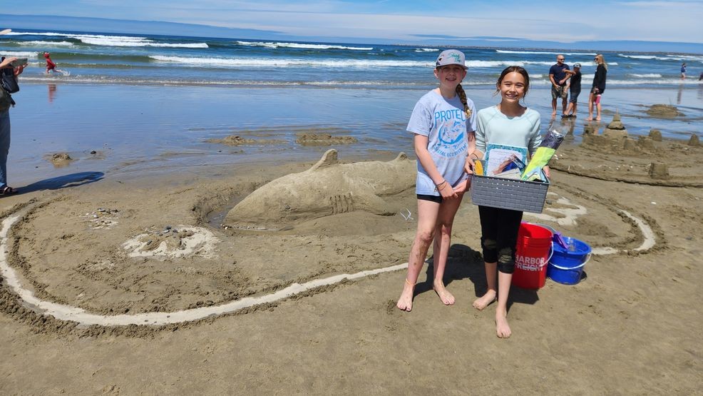 Great white shark sculpture wins first place at sandcastles in Newport ...