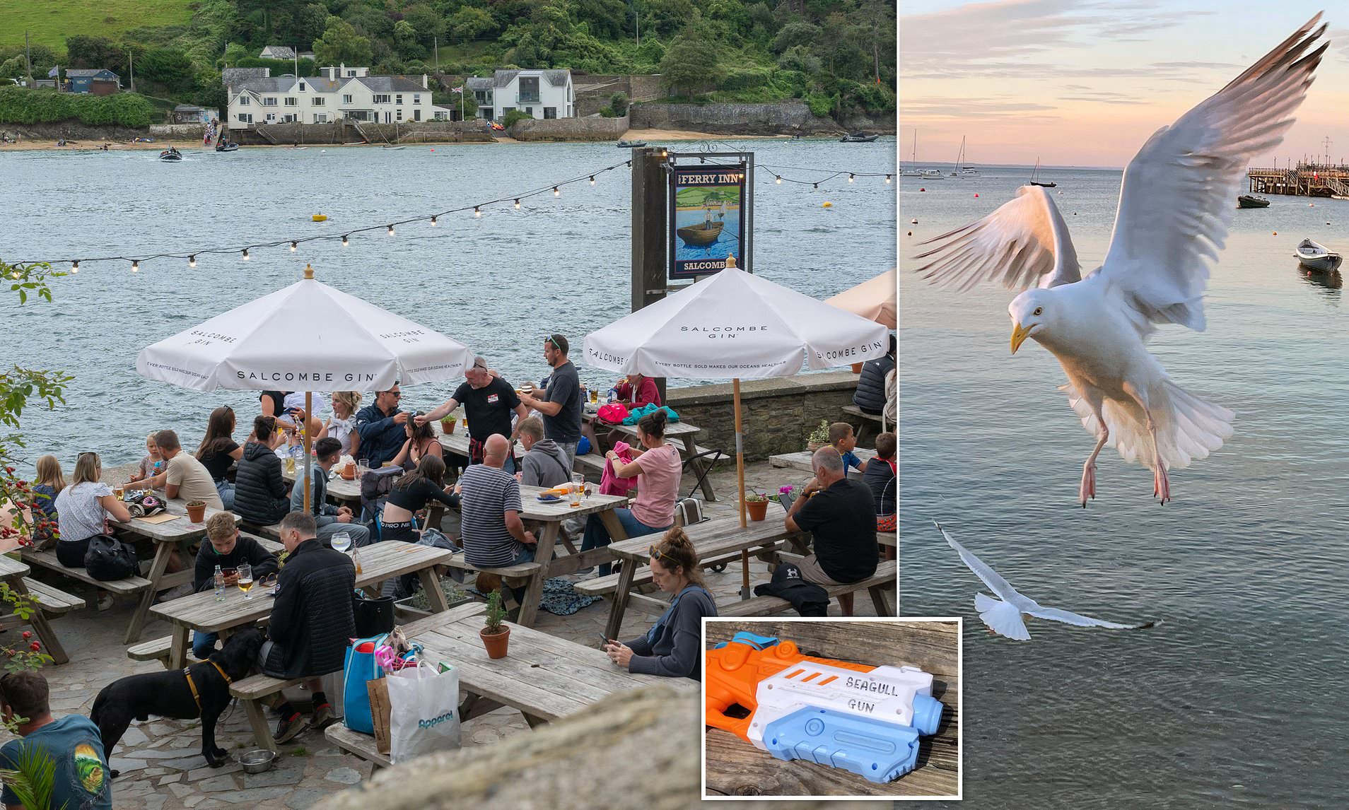 Devon pub landlord under fire for encouraging customers to fight ...