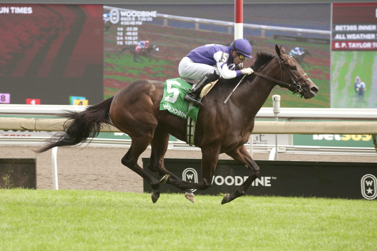 Candy Quest Notches First Stakes Win In Ontario Colleen