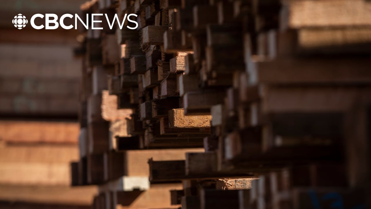 U.S. slaps 20.56% anti-dumping duties on Canadian softwood lumber