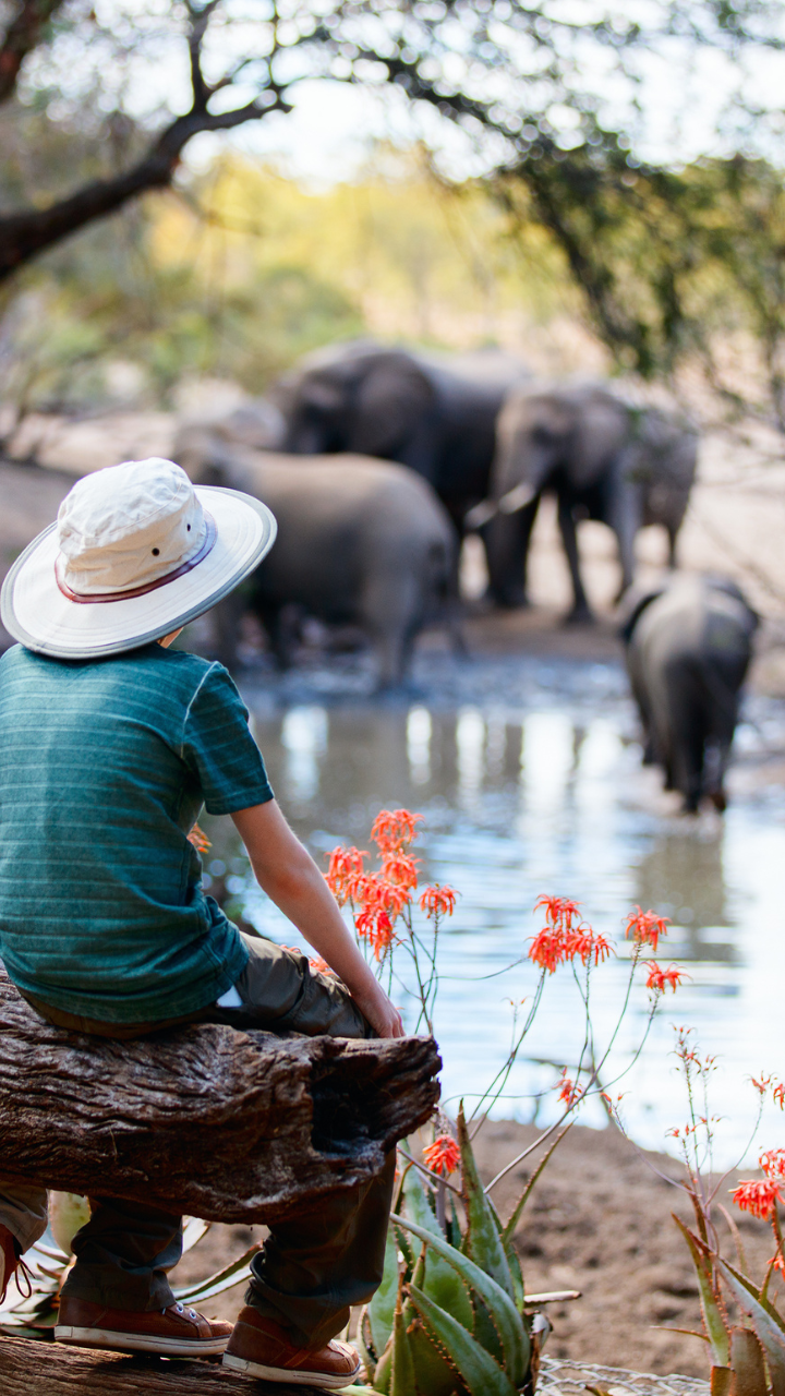10 Indian wildlife experiences that can rival international safaris