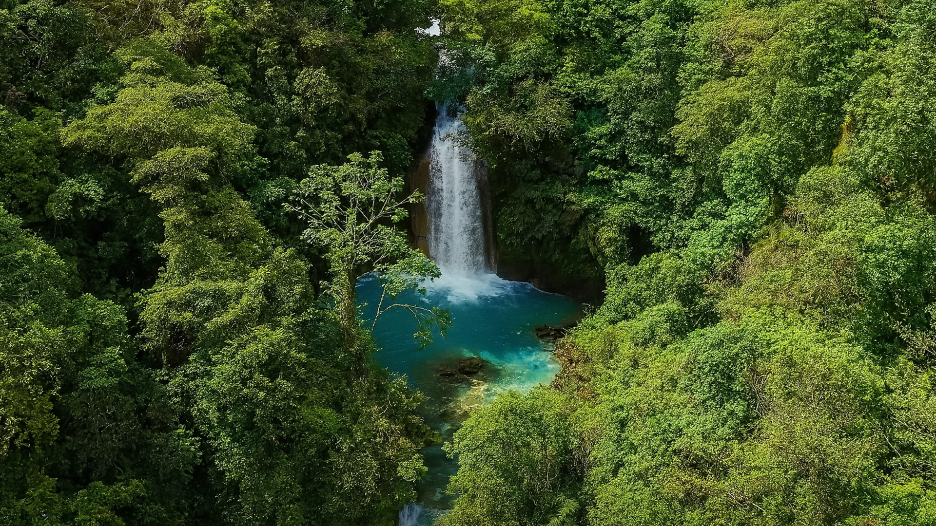 Costa Rica Waterfalls and Rivers in 4K