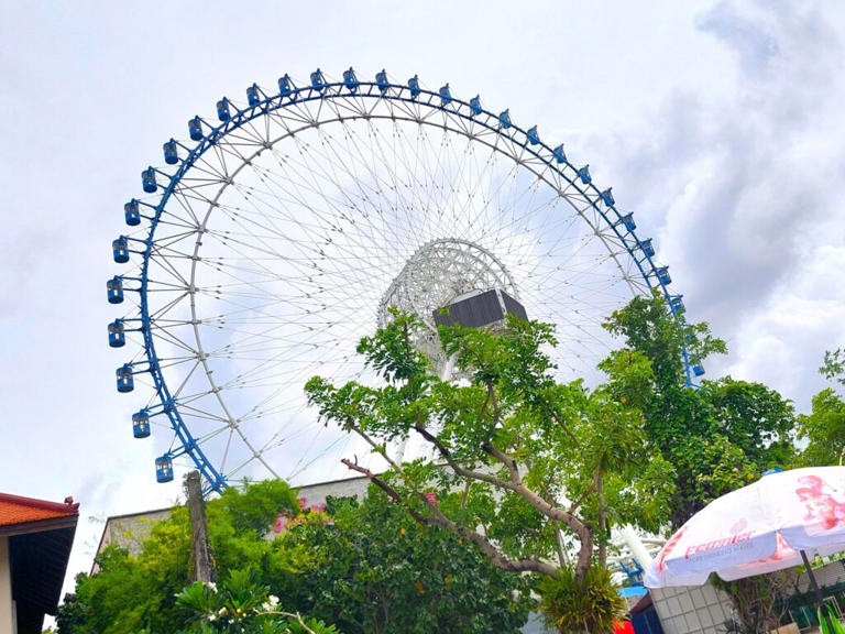 15 best things to do in Siem Reap with kids