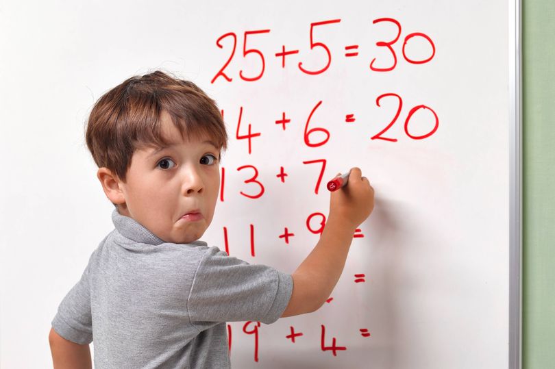 Millions stumped by 'simple-looking' maths problem only a genius can answer