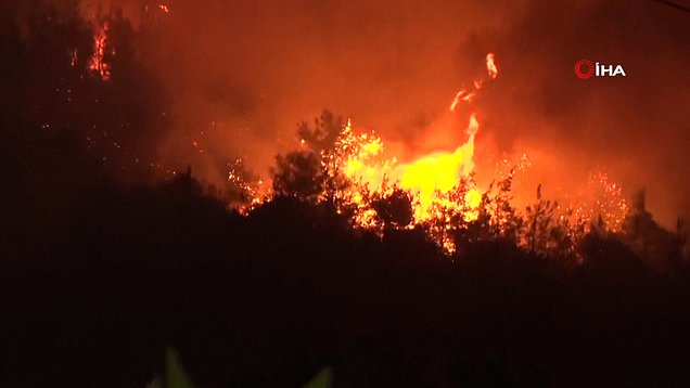 Wildfires ablaze in Turkey's Bursa