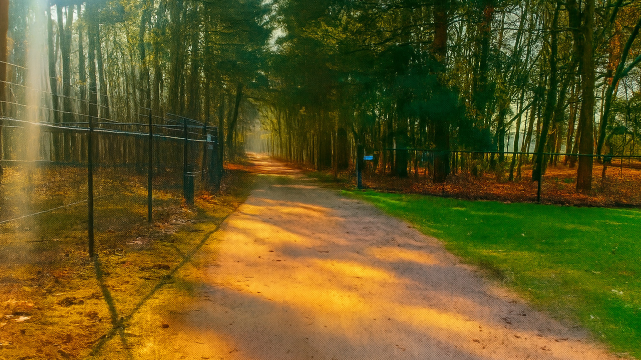 Walking in Mierlo, Netherlands – Tour of a Small Dutch Town