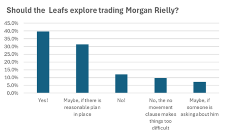 TLN fan survey Part 1: The offseason so far and a whole lot of Marner
