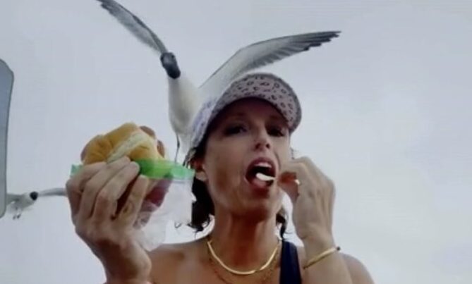 WATCH: Beachgoer Gets Serious Scare When Seagull Swoops in to Swipe Her ...