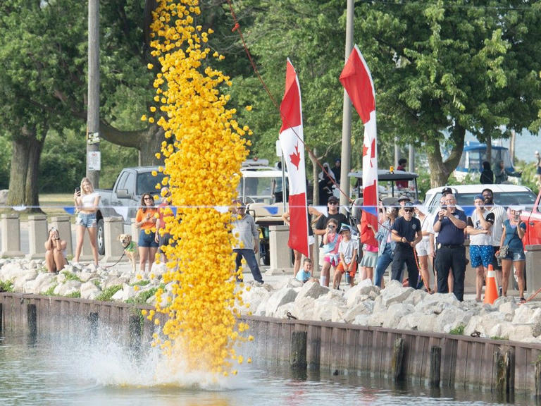 Quack, quack! Thousands of rubber ducks dropped for Windsor-Essex hospice