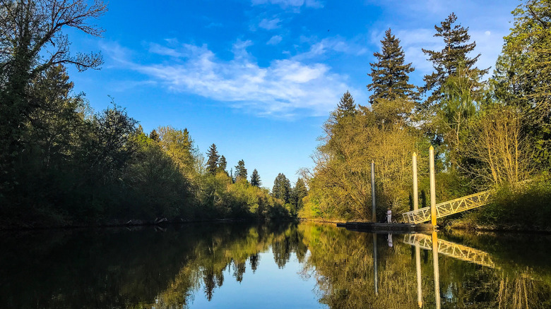 Hidden In A Portland Suburb Is Oregon's Shady River That's A Tunnel Of ...