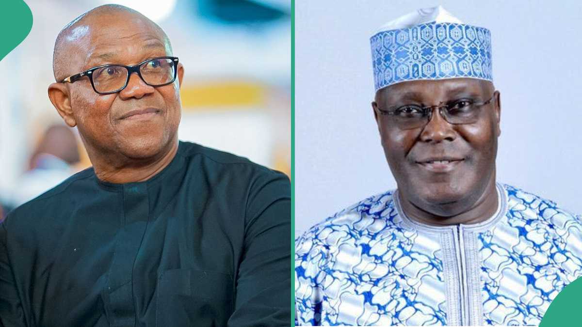 APC vs ADC: Atiku replies Obidient, drags ruling party ahead of election