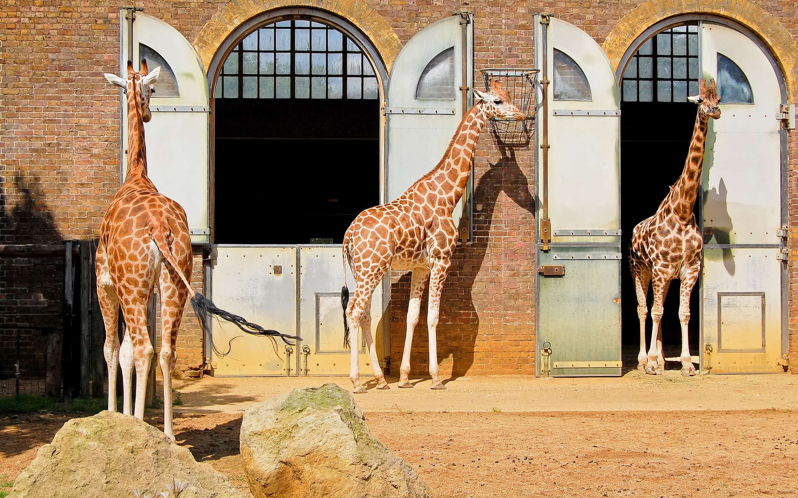 Almost 200 Years Old, England’s Oldest Zoo Is Still a Wild Wonder