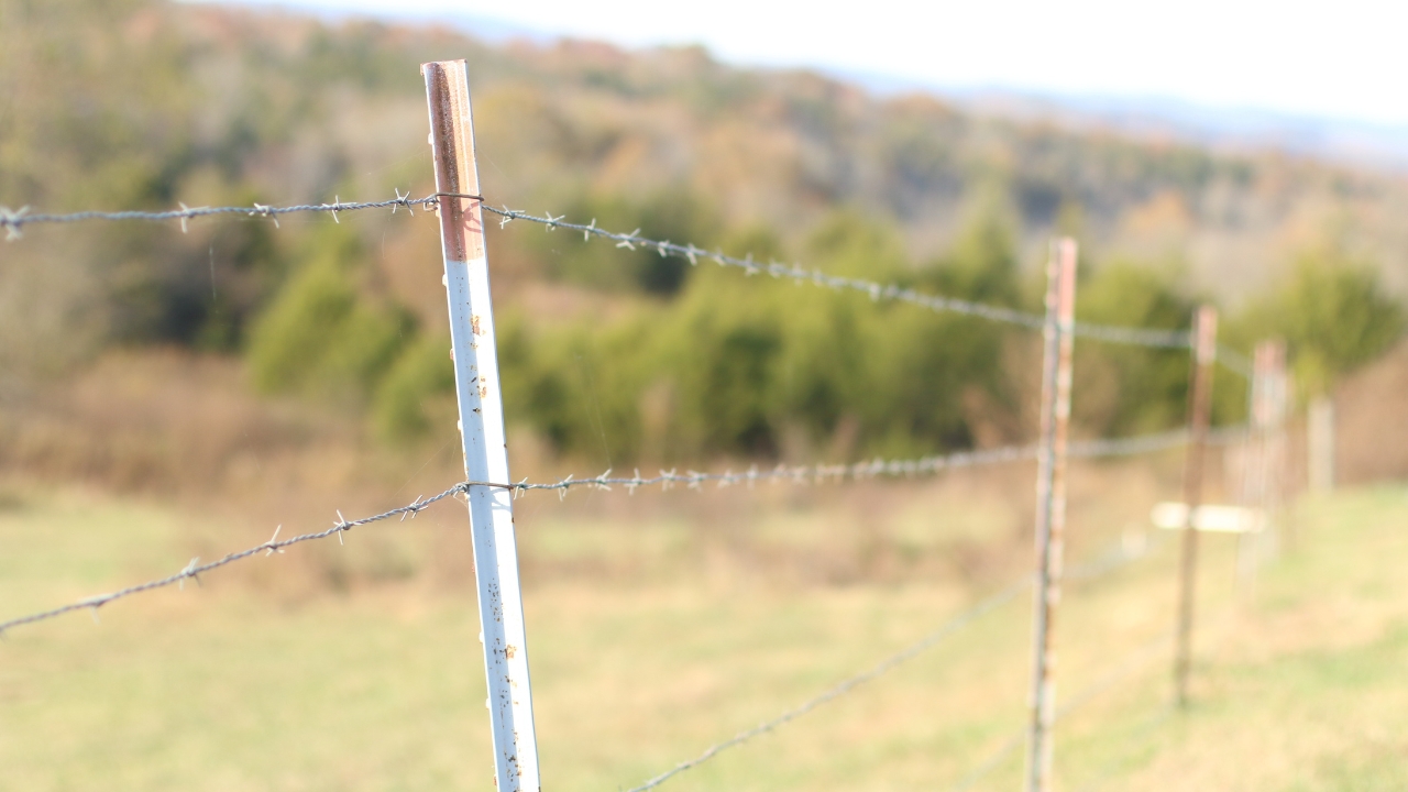 What I’d Never Put on a Rural Property Again