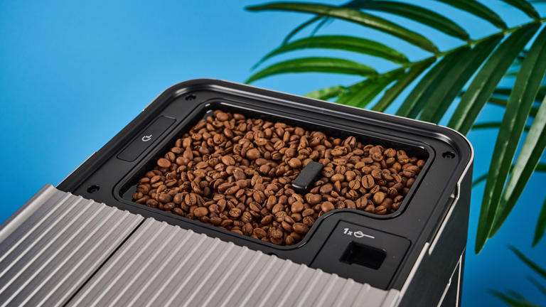 Should you get a bean-to-cup or compact espresso machine? I'm an ex ...