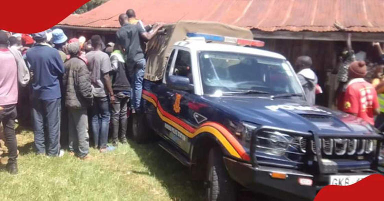 Grief as 74-year-old woman is killed in brutal domestic fight with ...