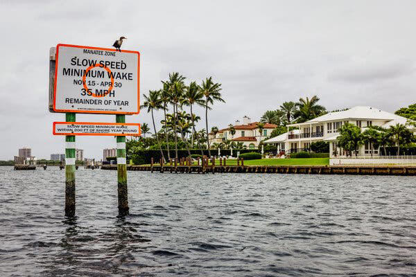 Jeff Bezos and Other Billionaires Live on an Island Without Septic ...