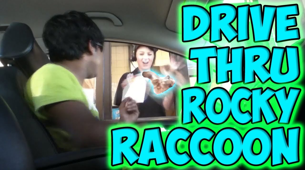 Drive thru Rocky Raccoon with a prop that feels too lively