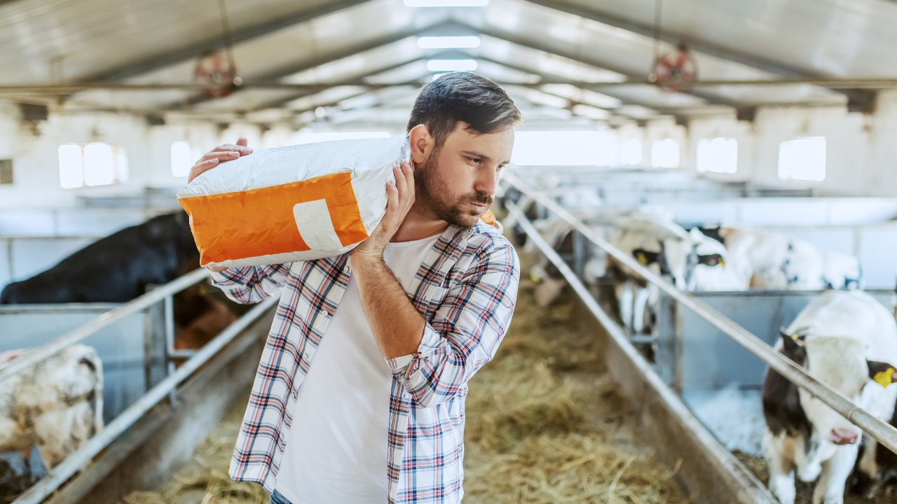 How to Plan a Homestead Setup That Won’t Be a Headache Later