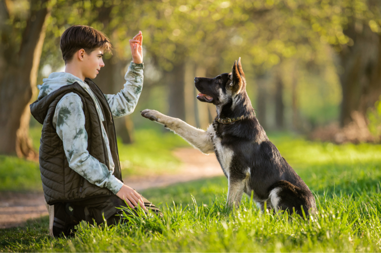The Command Every Dog Owner Should Teach Before Age 2—It Could Save ...