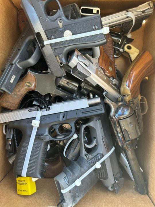 Over 200 firearms collected at Encinitas gun safety event