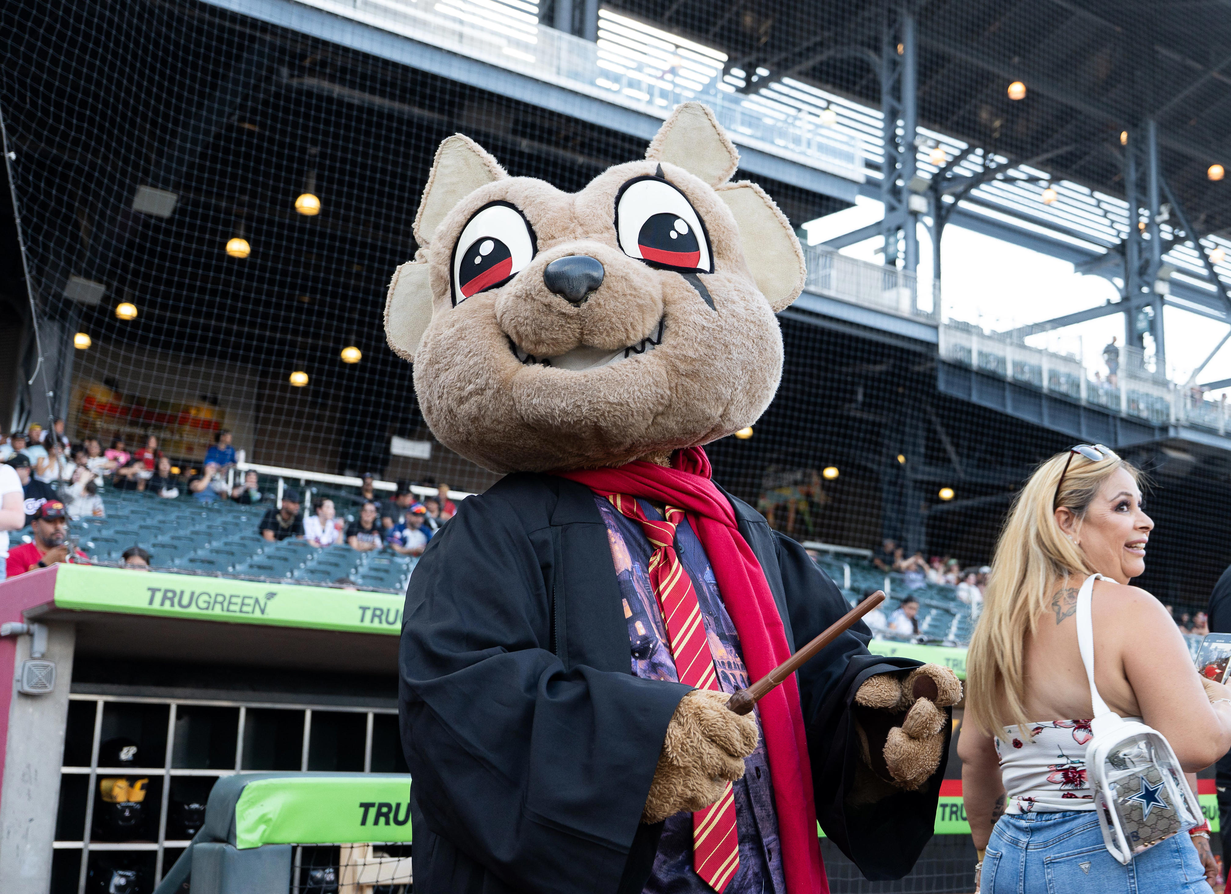 You can be next Chico mascot for the El Paso Chihuahuas. Here's how much job pays