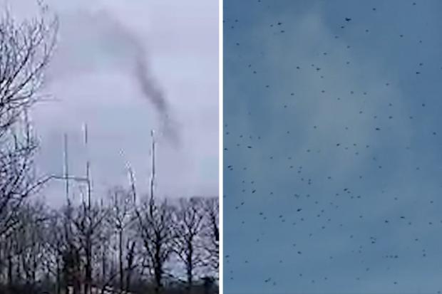 'We have a fly population' - swarm at treatment works blights site for ...