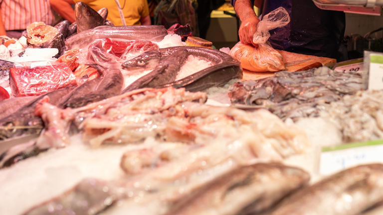 What You Should Know About Farm-Raised Fish