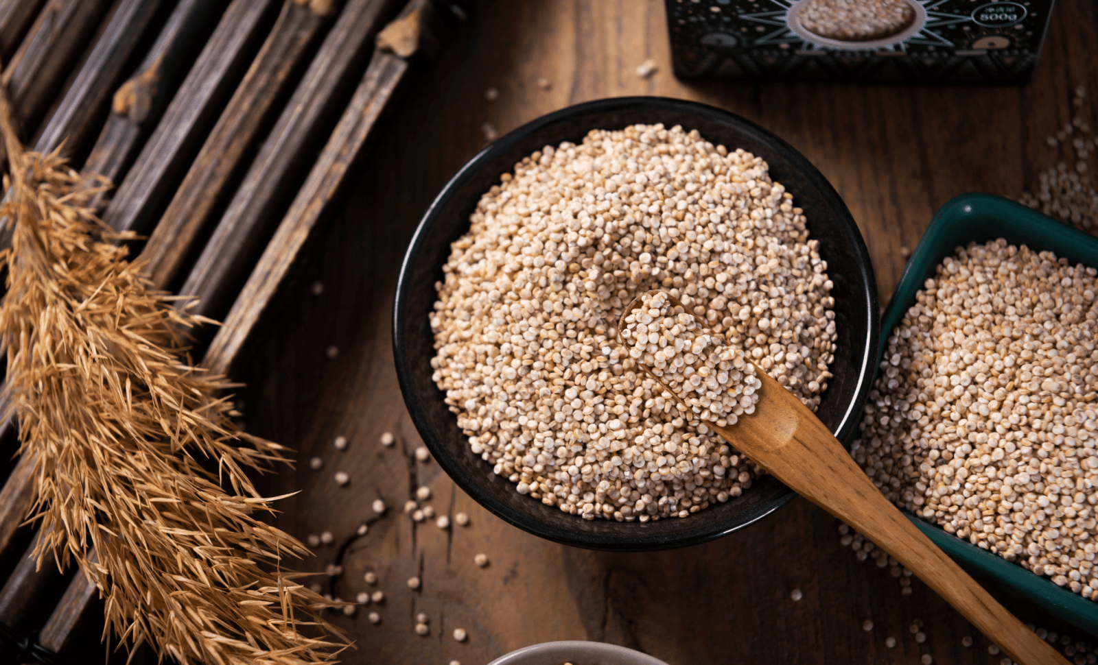 Le quinoa : Un grain polyvalent et nutritionnel pour toutes les saisons