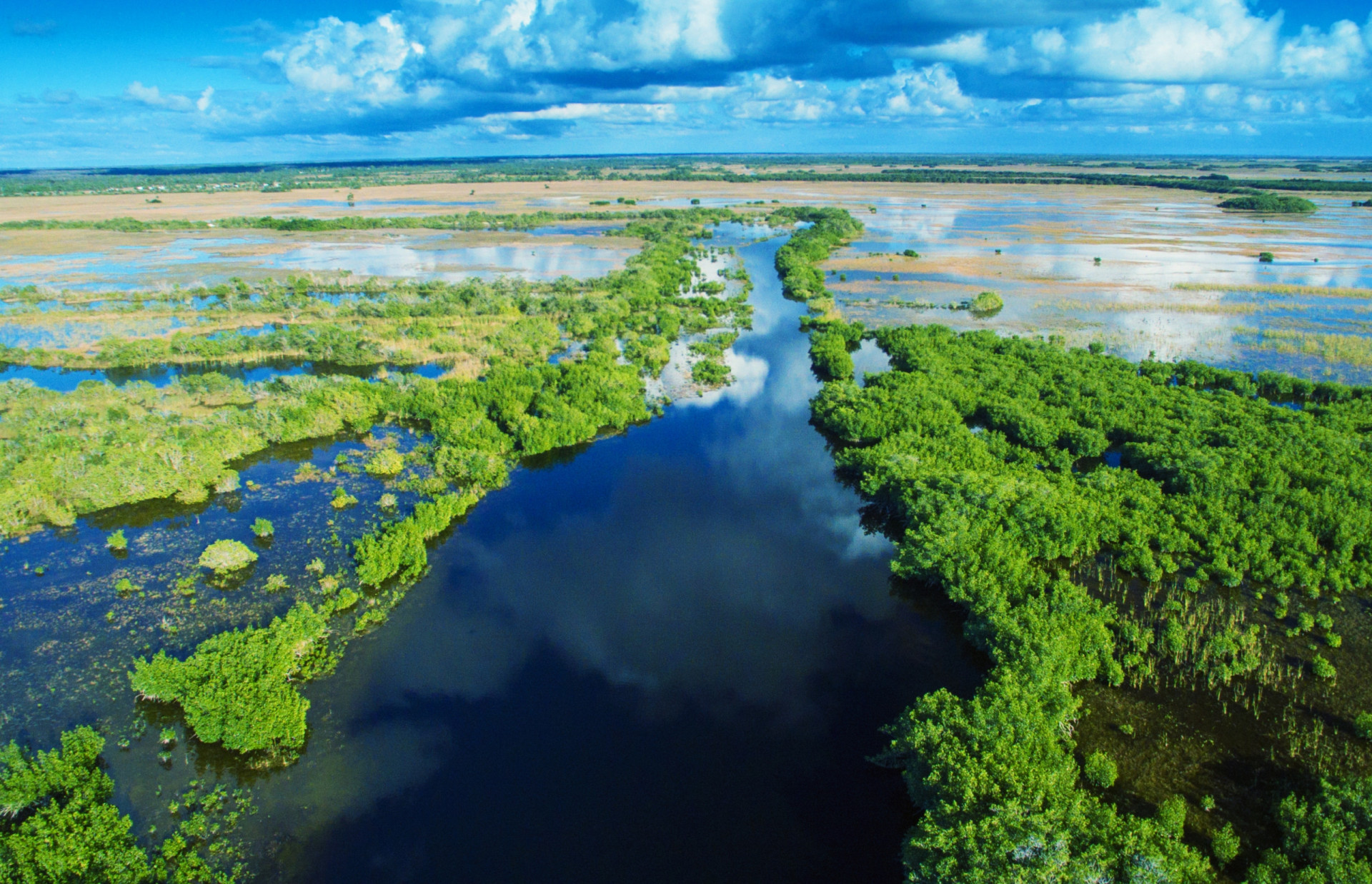 America's most noteworthy swamps and bayous