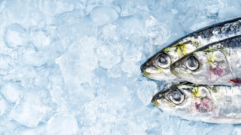 What You Should Know About Farm-Raised Fish