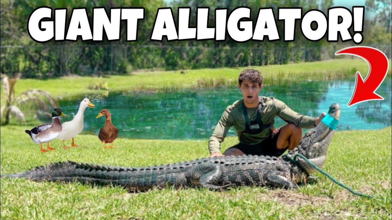 THIS Was LIVING In My POND & EATING My PETS!!
