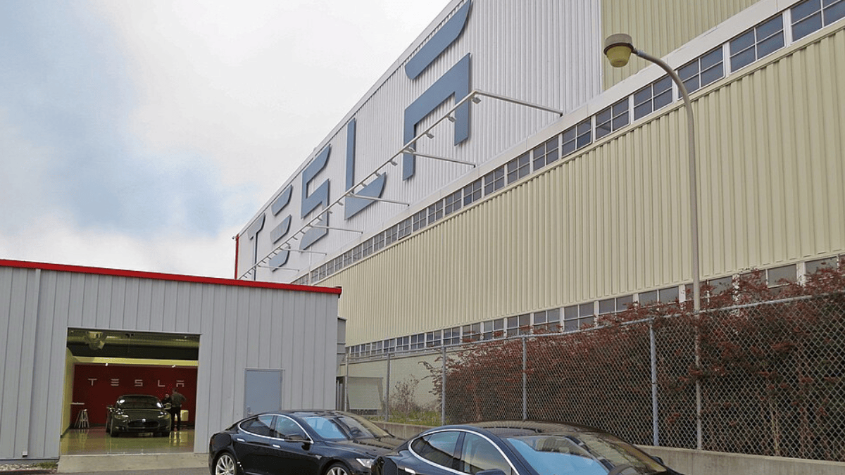 Tesla's Stock Plummets Amid Revenue Decline and Strategic Transition