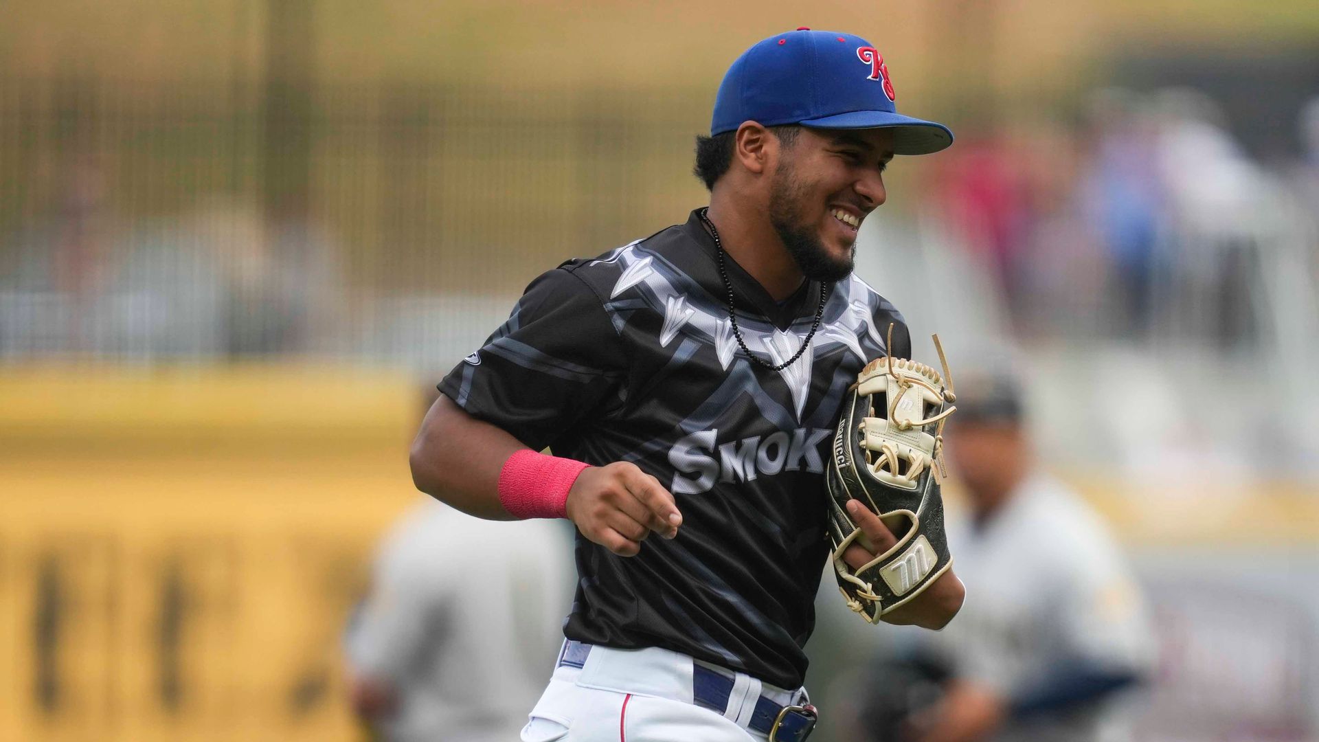 Minor League Wrap: Smokies win second-straight, 6-5 over Blue Wahoos