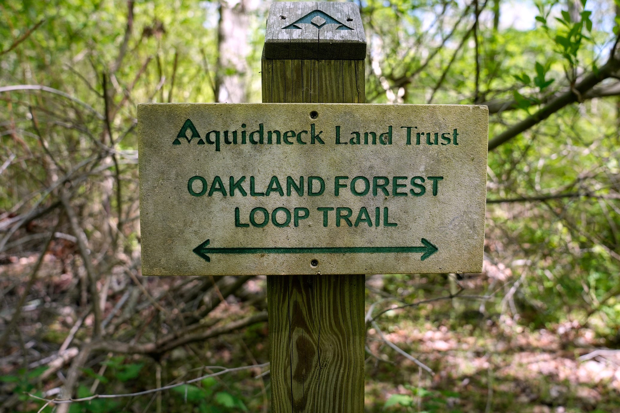 Understanding plant disease