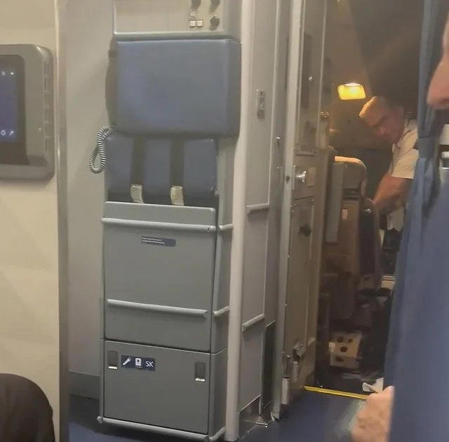 Delta Airlines pilot arrested by federal agents moments after landing ...