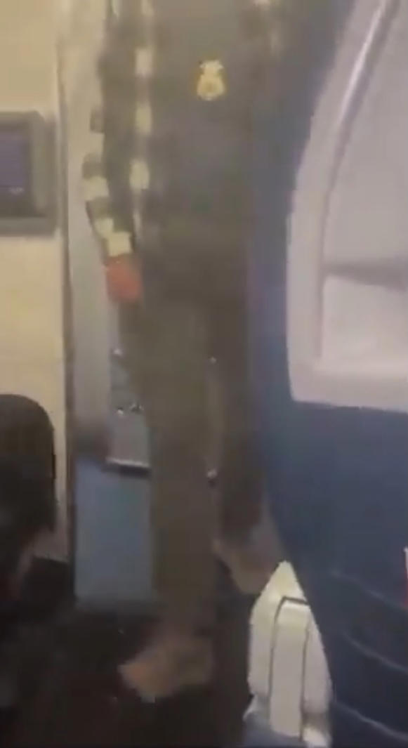 Delta Airlines pilot arrested by federal agents moments after landing ...