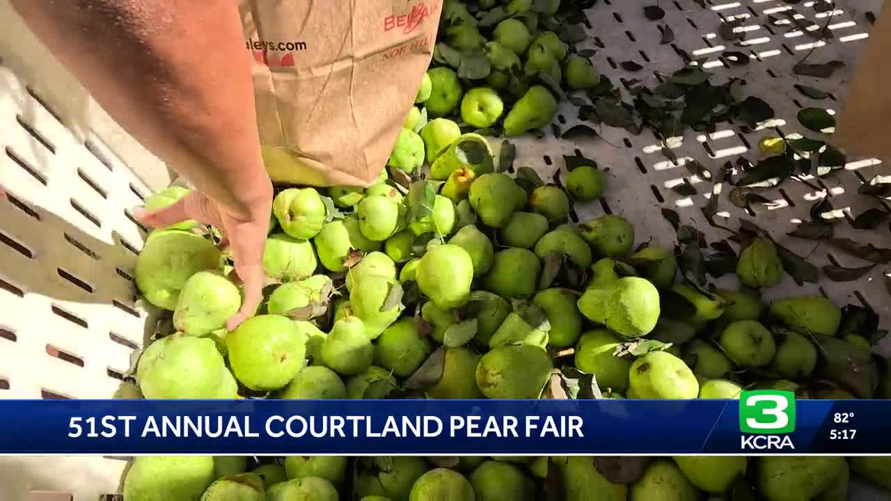 Celebrating over 50 Years of tradition: The 51st annual Courtland Pear ...