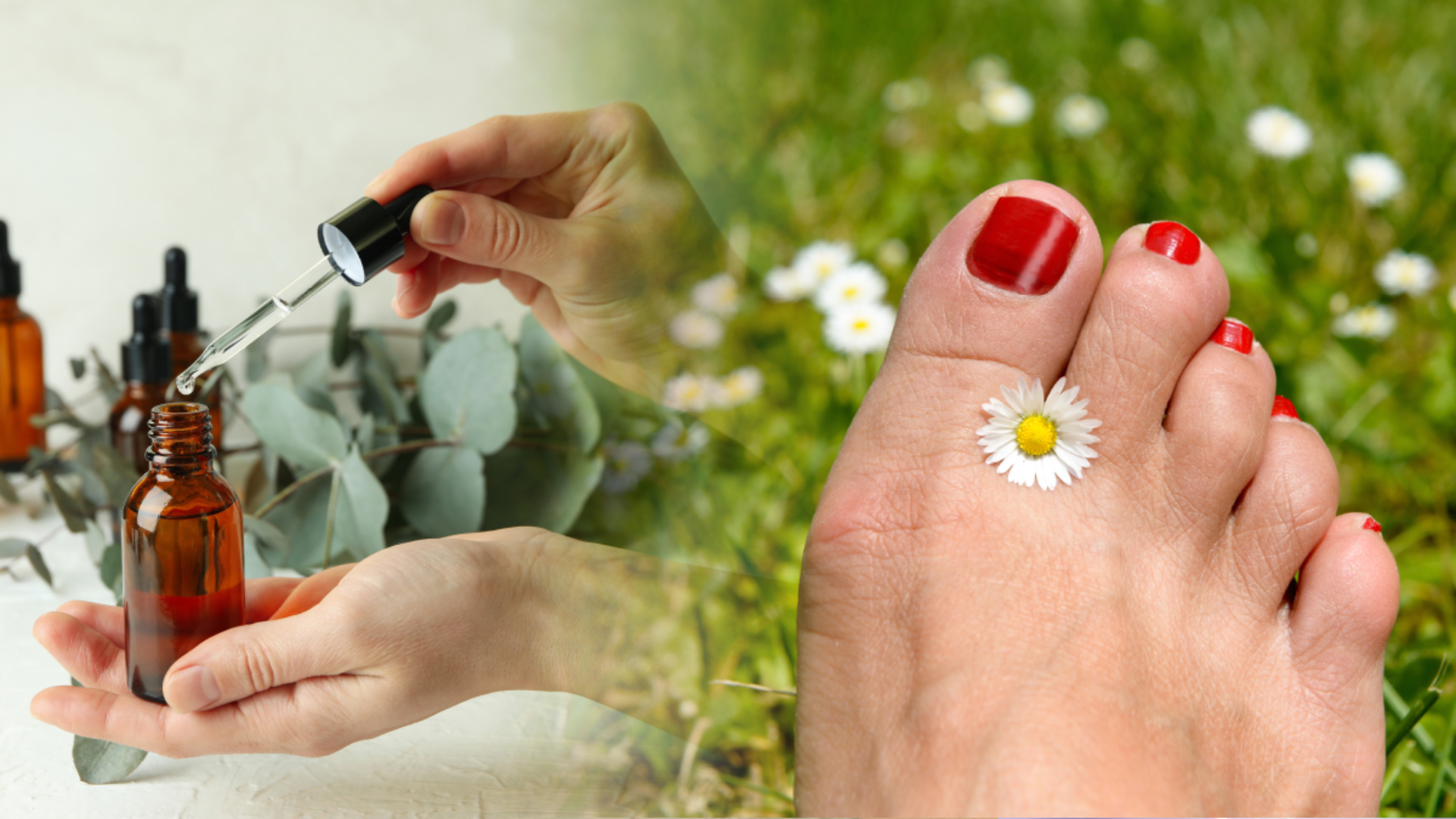 This summer, your feet will shine at the pool thanks to the oil that ...