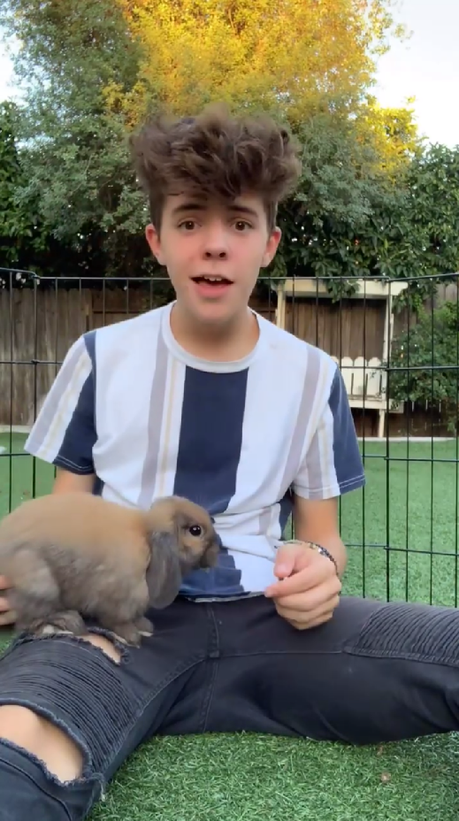 This Bunny Deserves to Be a Star – Meet Mocha!