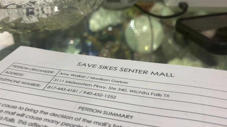 Small business owners call for public vote on Sikes Senter plans