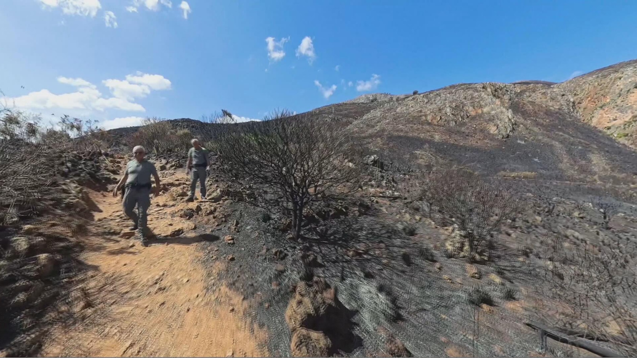 Sicilia in fiamme: incendi nella riserva dello Zingaro: "Potrebbe ...