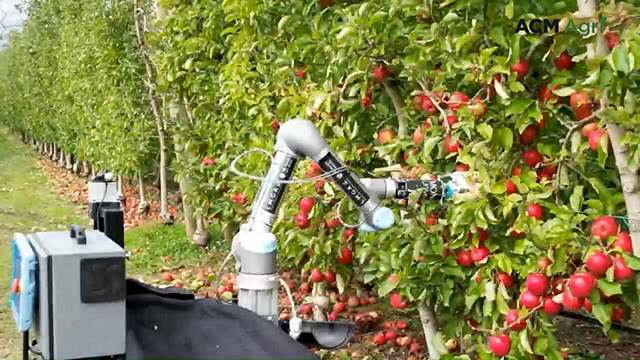 Apple-picking robot offers fix for farm labour and climate stress