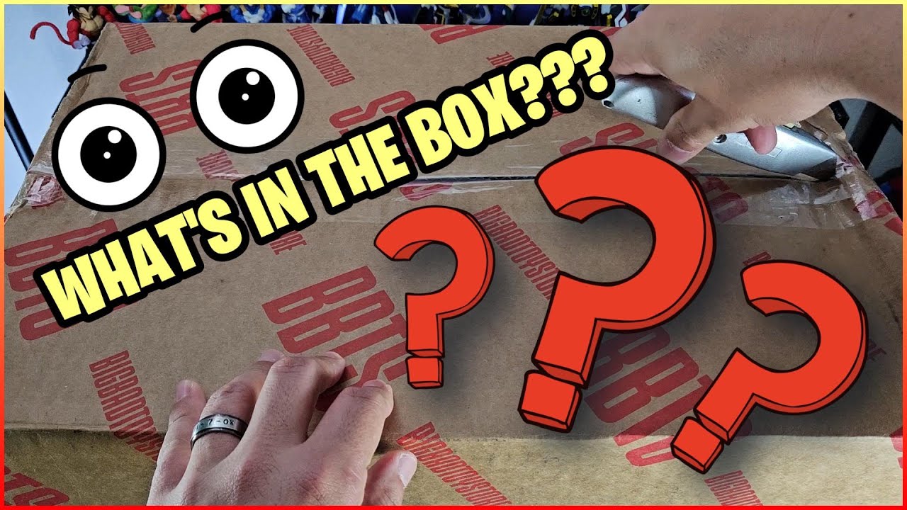 Big Bad Toy Store Really Sent Me THIS?! Unboxing Madness!