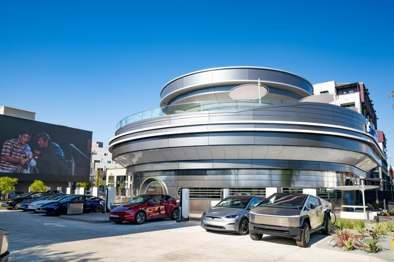 Elon Musk's Tesla diner hit with inflatable Nazi protest