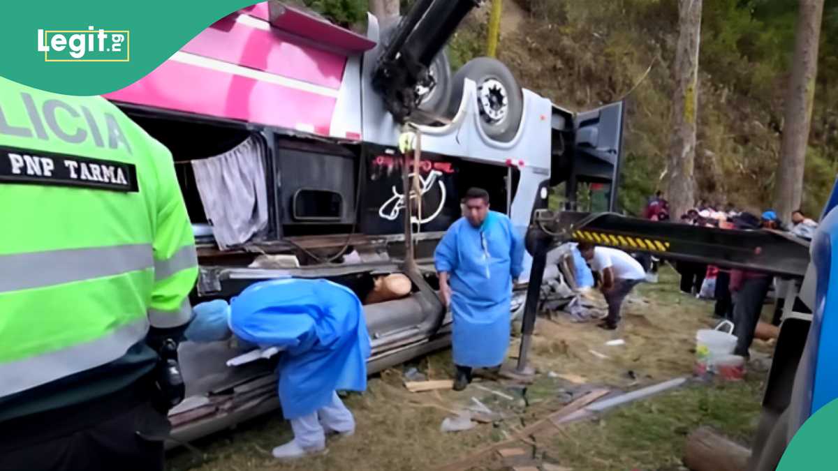 Watch video: Tragedy as 'horrific' bus crash kills 18, details emerge